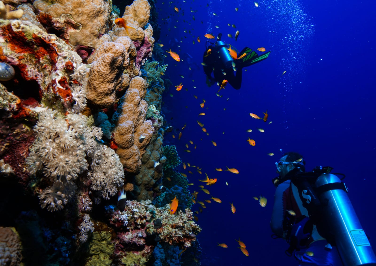 Diving Package Taormina - Blue Sea Diving Center